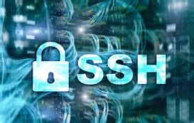 ssh工具是干什么的 好用的ssh工具有哪些 Xshell中文网