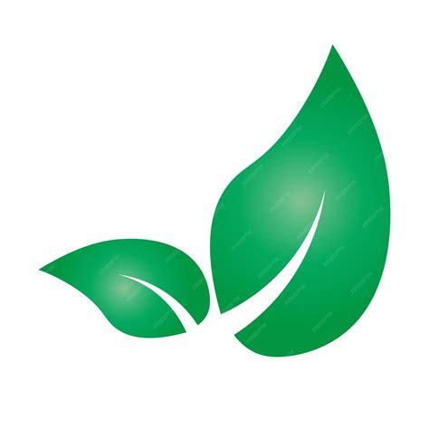 Premium Vector Green Leaves Vector Design