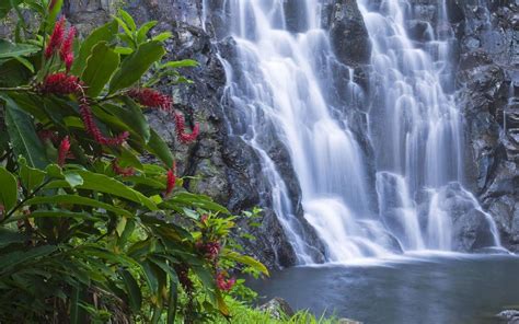 Animated Nature Wallpapers Top Free Animated Nature Backgrounds