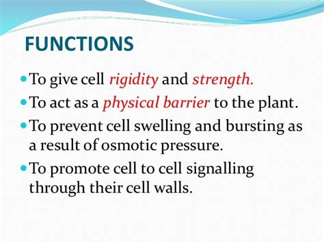 Cell Wall Ppt