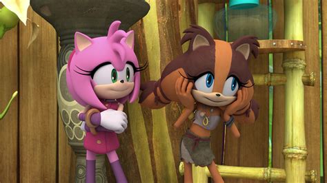 Sonic Boom Amy And Sticks 08 By Sonicboomgirl23 On Deviantart