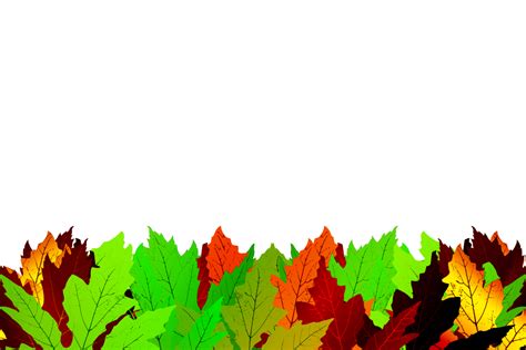 Icon Border Deco With Maple Tree 33230038 PNG