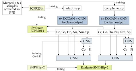 Illustration Of The Simplified Pipeline Used In This Study Download Scientific Diagram