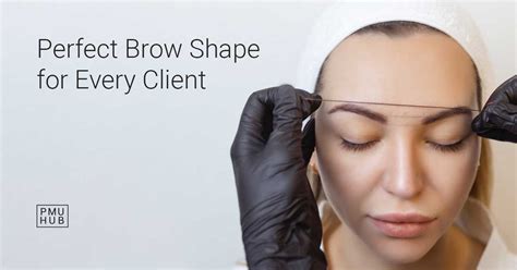 The Eyebrow Growth Cycle Explained Phases And Timeframes