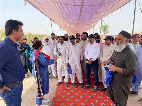 Syed Mehboob Hasnain Shah Posted On Linkedin