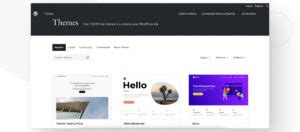 Why Is My WordPress Site So Slow Strategies To Speed It Up White Canvas