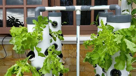 Vertical Hydroponic Gardening Systems Fasci Garden