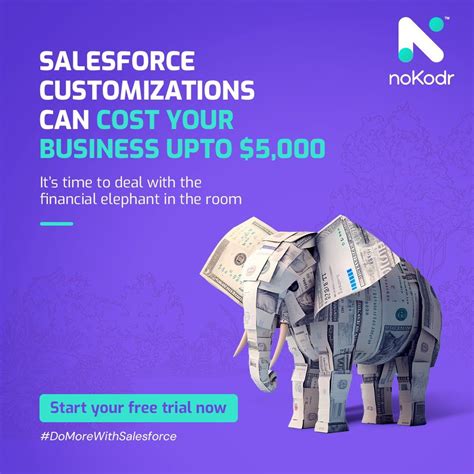 Why Break The Bank On Salesforce Customizations Nokodr Offers A Cost Effective Solution For