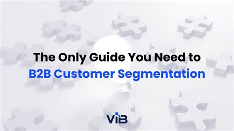 The Only Guide You Need To B2b Customer Segmentation