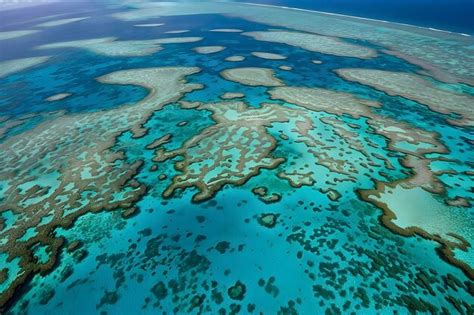 Premium Photo Vibrant Coral Ecosystem Great Barrier Reef Australia