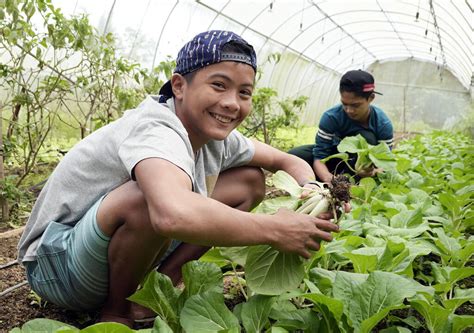 How To Support Environmental Projects Around The World Through Volu