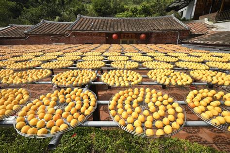 2019玩味柿餅節最美秋季顏色新埔曬柿捏柿品柿找尋百年客庄風味 ETtoday旅遊雲 ETtoday新聞雲