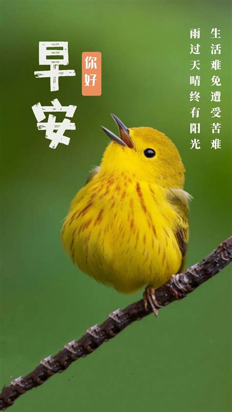現地 で 航空 券 を 買う