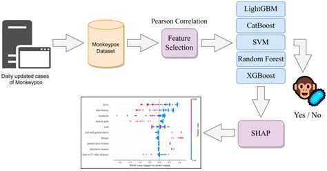 几行代码发一区！shap可解释分析，调包即用！shap Iq Unified Approximation Of Any Order