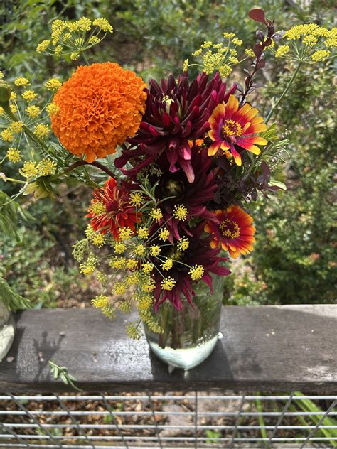 Unity School Eugene Or