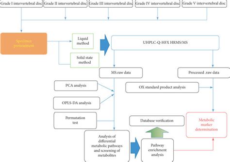 A Mass Spectrometry Uhplc Q Hfx Hrms Metabolomics Flowchart B
