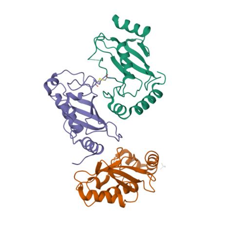 Rcsb Pdb 3e95 Crystal Structure Of The Plasmodium Falciparum