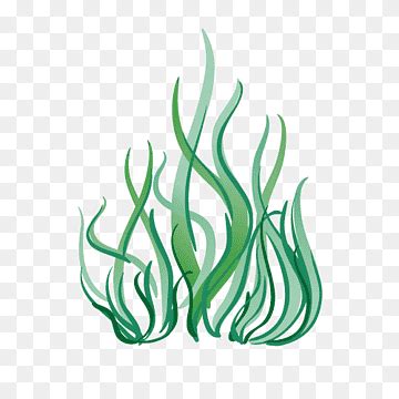 Ilustración de plantas verdes planta acuática algas algas marinas