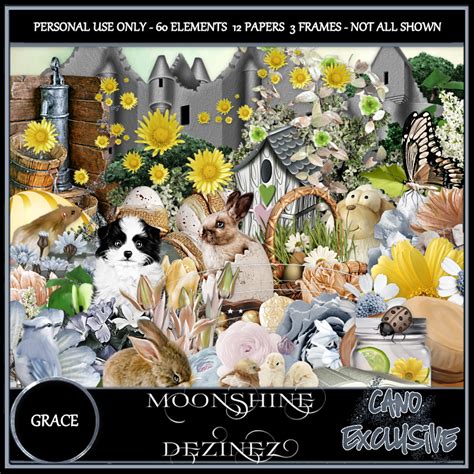 Unique Styles K I T Promo Grace Cano Ct Snags