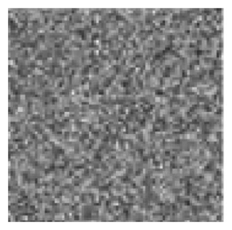 experimental results of optical encryption a original image obtained
