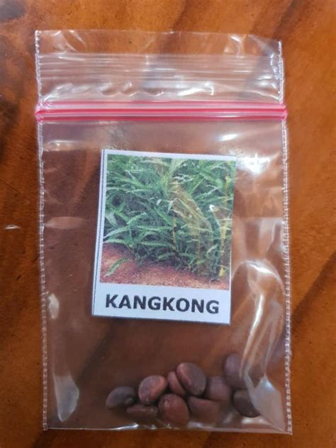 Brown Dried Kangkong Vegetable Seeds Packaging Type Packet Packaging