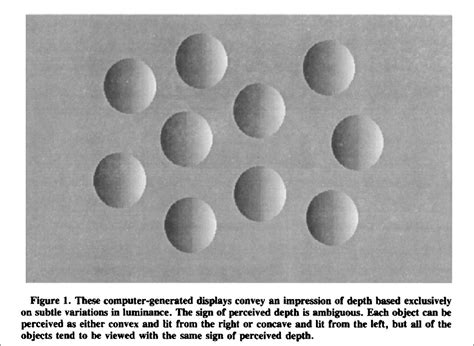 A Dedicated Loss Function For Neural Face Training Metaphysicai
