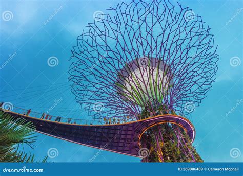 Supertree And Elevated Walkway At Supertree Grove Singapore Editorial