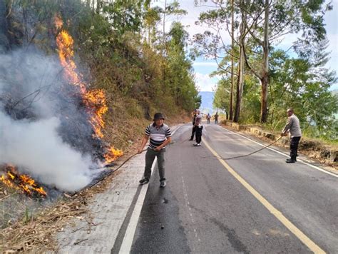 85 Ha Hutan Di Kawasan Perbukitan Danau Toba Terbakar