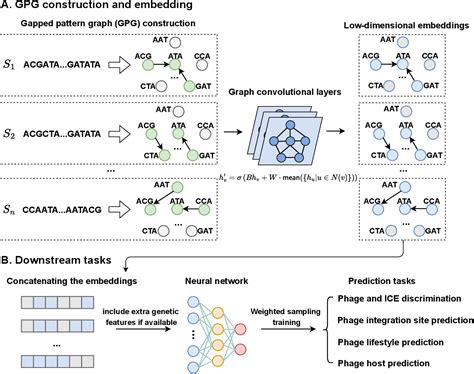 Table 1 From A Graph Representation Of Gapped Patterns In Phage