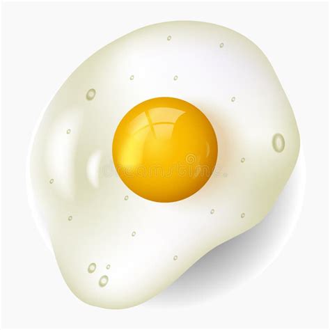 Huevo Frito Aislado En El Fondo Blanco Ilustración Del Vector