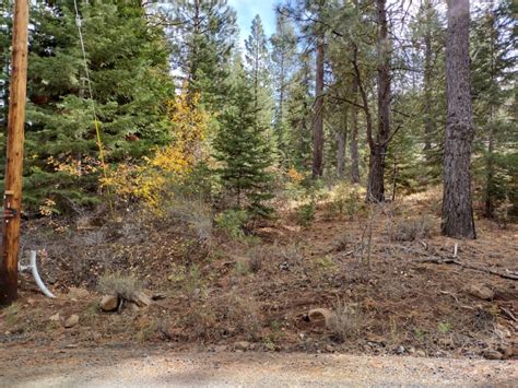Plot Perfection Nice Sized Heavily Treed Power Access Near Natl