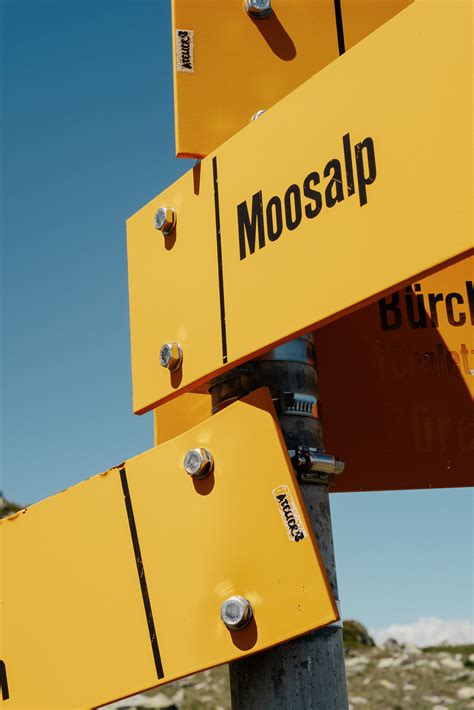 Remediation Concept Moosalpregion