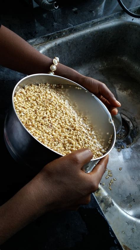 Production Of Trichoderma Site Title