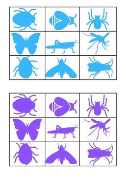 Insect And Jars Color Sorting Mats By Vanessa S Life And Teaching