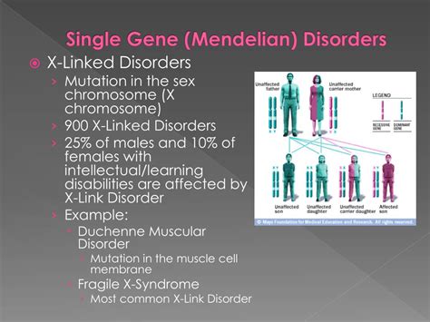 Ppt Genetic And Developmental Disorders Powerpoint Presentation Id