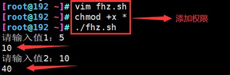 shell脚本shell函数详解 sh 什么函数 CSDN博客