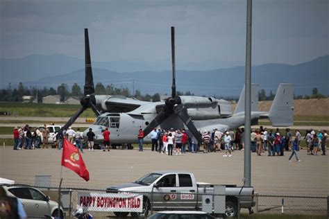 Osprey Visits Attracts Crowd The Spokesman Review