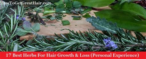 17 Best Herbs For Hair Growth And Loss Personal Experience How To Get