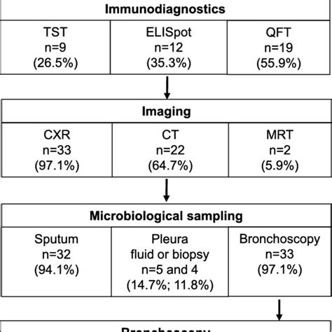 Diagnostic Flowchart Tst Tuberculin Skin Test Elispot Download
