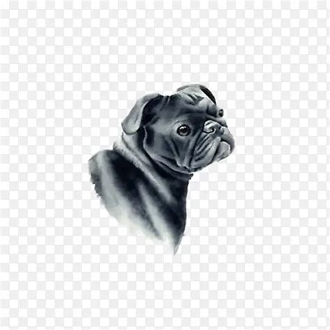 手绘沙皮犬PNG图片素材下载 图片编号7754669 PNG素材网