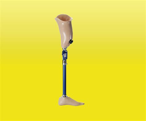 Transfemoral Prosthesis Pelayanan Ortotik And Prostetik