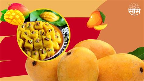 Mango Barfi Recipe आंब्याच्या मोसमात घरबसल्या बनवा चविष्ट मँगो बर्फी