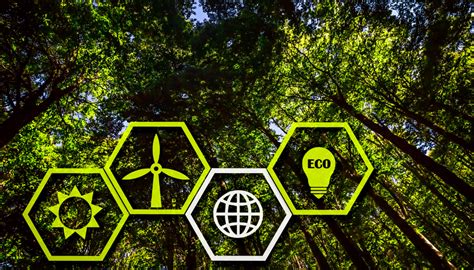 La Rentabilidad De Los Sistemas Agroforestales En La Agricultura