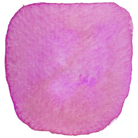 Watercolor Texture Circle Shape Elements Stock Image Image Of Drawing Abstract 254529177