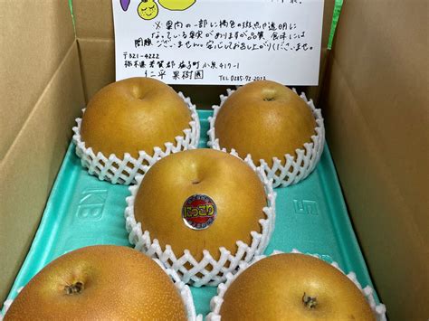 ※今シーズン残りわずか『モーツァルト聴いてる梨♪』栃木産にっこり梨：栃木県産のにっこり｜食べチョク｜産地直送産直お取り寄せ通販 農家