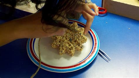 Empowered By Them Bird Seed Feeders