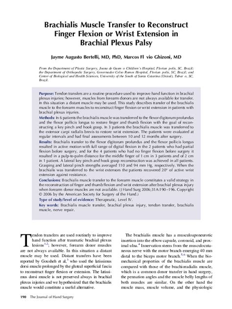 Pdf Brachialis Muscle Transfer To Reconstruct Finger Flexion Or Wrist