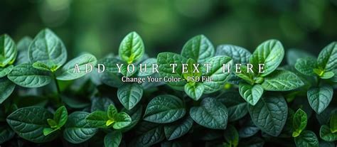 Premium Psd Greenery Product Background