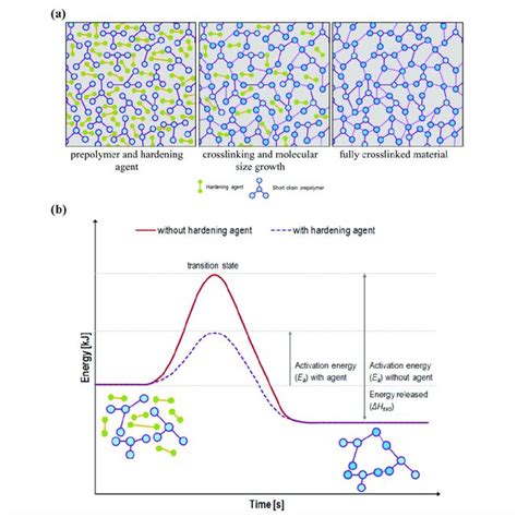 Crosslinking Of Epoxy Modified Bitumen A Stepwise Polymerization Of Download Scientific