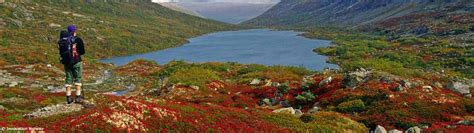 The Inland Counties In Eastern Norway Daily Scandinavian
